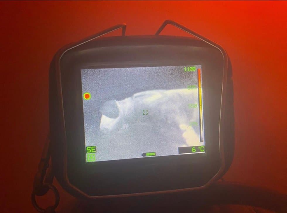 Dog / Canine Training Manikin | Ruth Lee Ltd